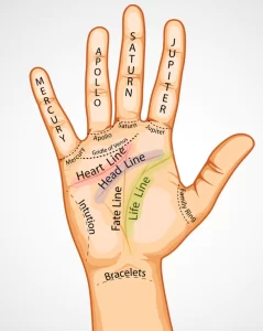 Unveiling the Benefits of Palm Reading: Insights & Fascination